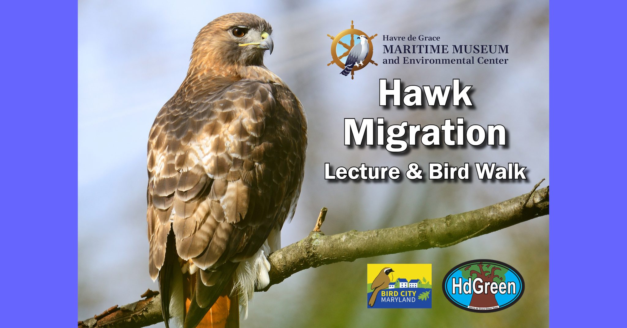 Hawk Migration Lecture & Bird Walk | Havre De Grace MD Events